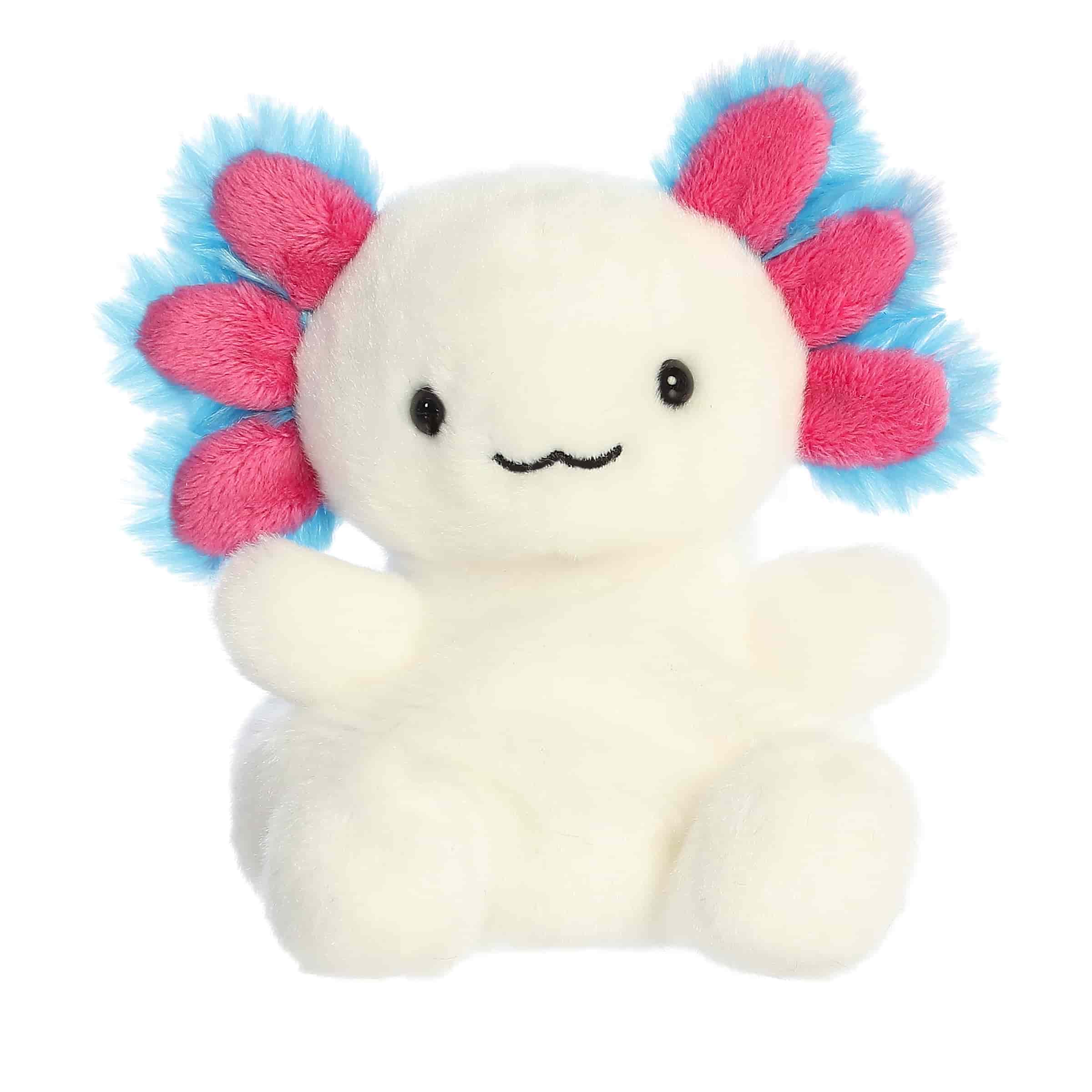 Palm Pals 5 Inch Jax the Bluegill Axolotl Plush Toy – Owl and Goose Gifts