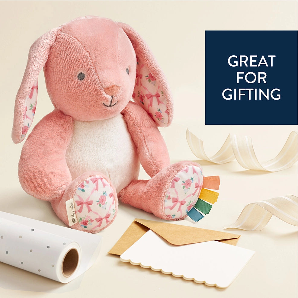 Itzy Ritzy Sweetie Snuggles™ Ana Pink Bunny Plush Toy – Owl and Goose Gifts