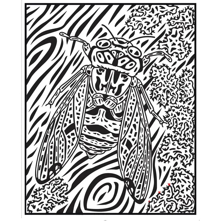 Usborne Magic Painting Book - Bugs – Owl and Goose Gifts