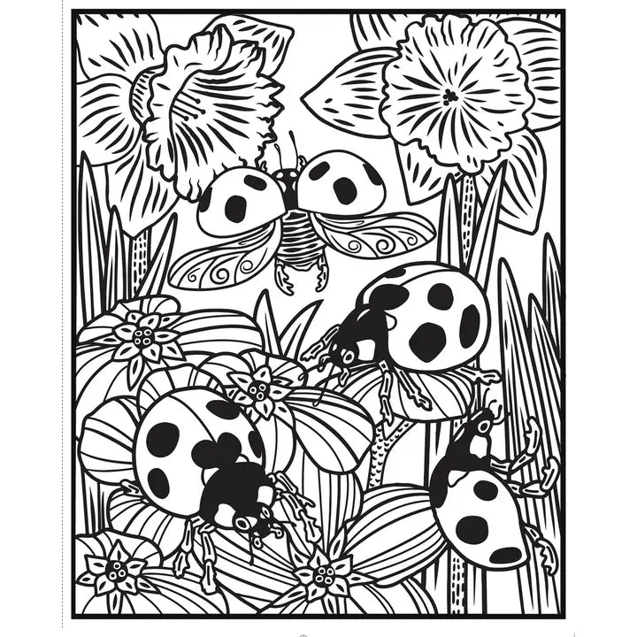 Usborne Magic Painting Book - Bugs – Owl and Goose Gifts