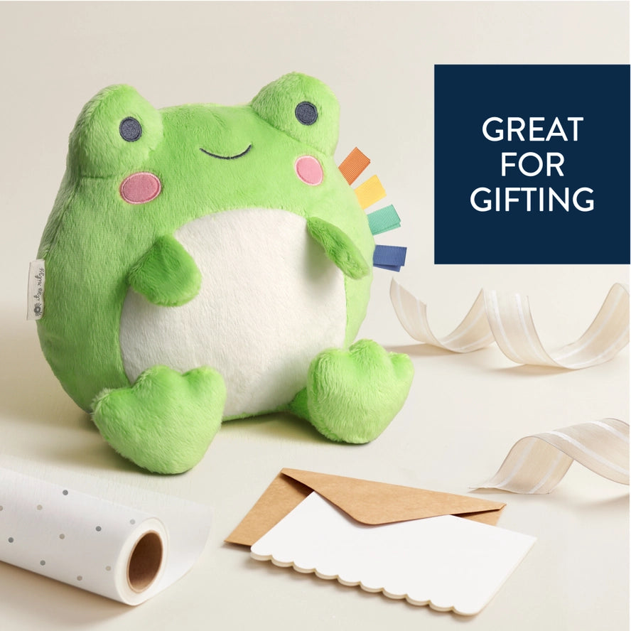 Itzy Ritzy Sweetie Snuggles™ Frog Plush Toy – Owl and Goose Gifts