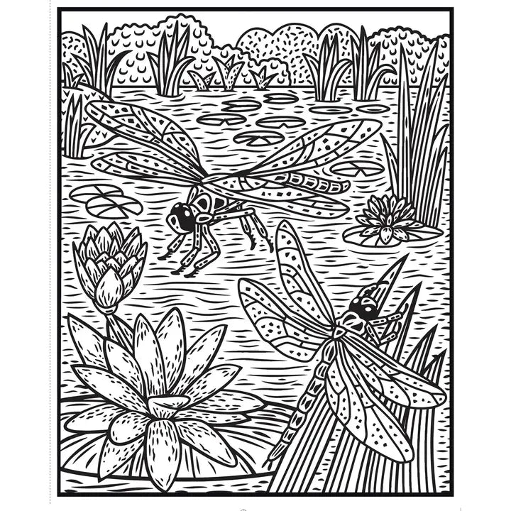 Usborne Magic Painting Book - Bugs – Owl and Goose Gifts